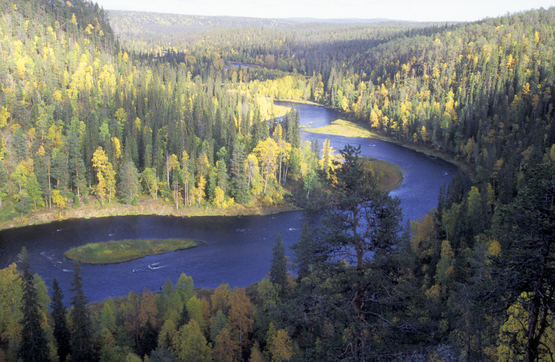 Nature photography - Karhuntassu